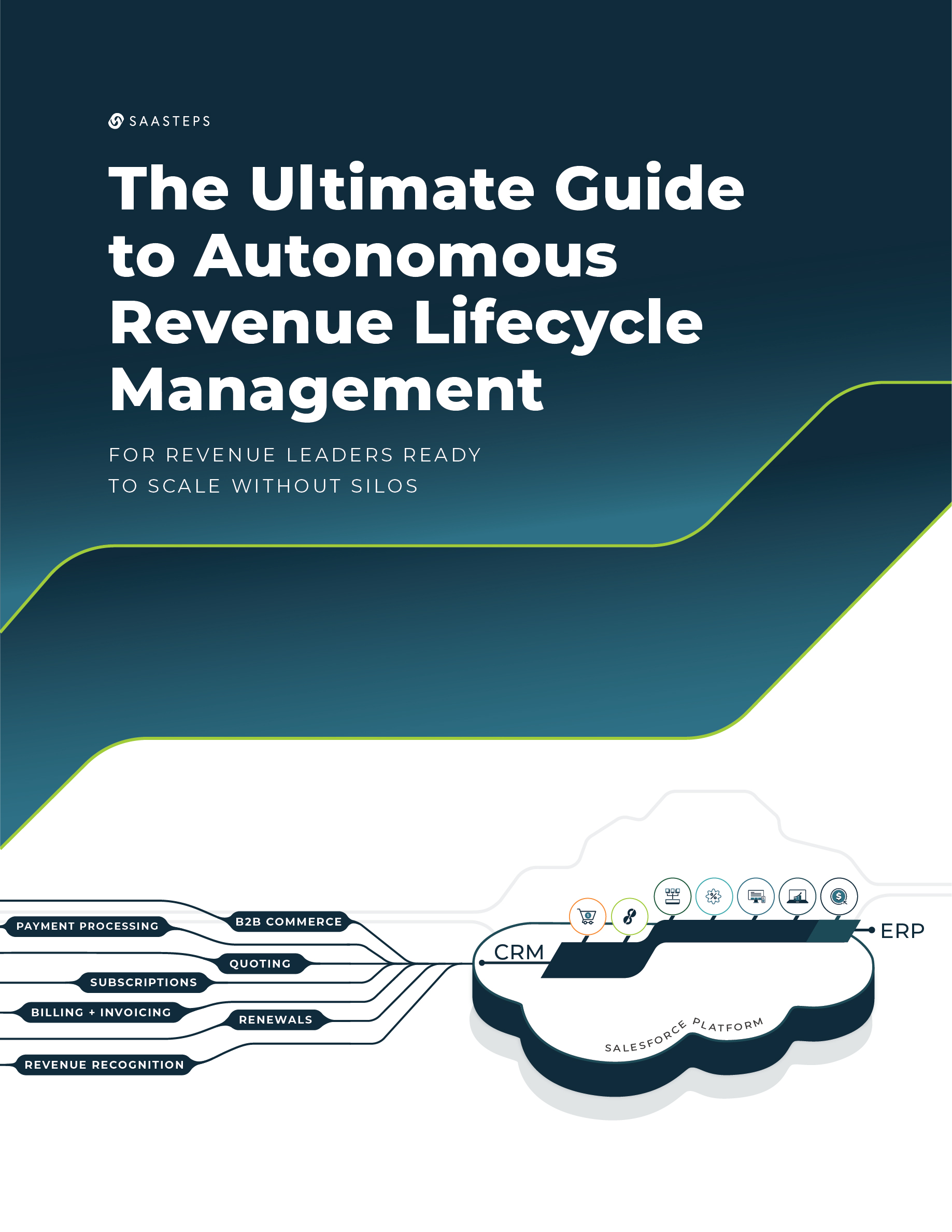 Revenue Lifecycle Guide: Maximize Your Profit - SAASTEPS